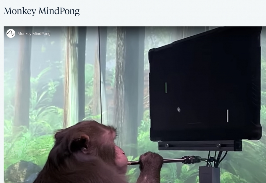 BabylonDecoded.com - Neurolink Monkey MindPong Neuralink is developing ...
