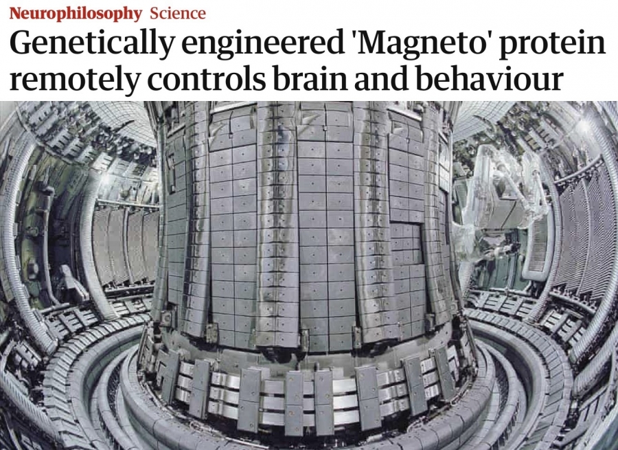 BabylonDecoded.com - Genetically engineered 'Magneto' protein remotely ...